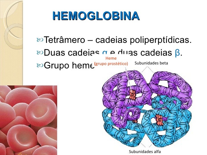 Biologia - Proteínas