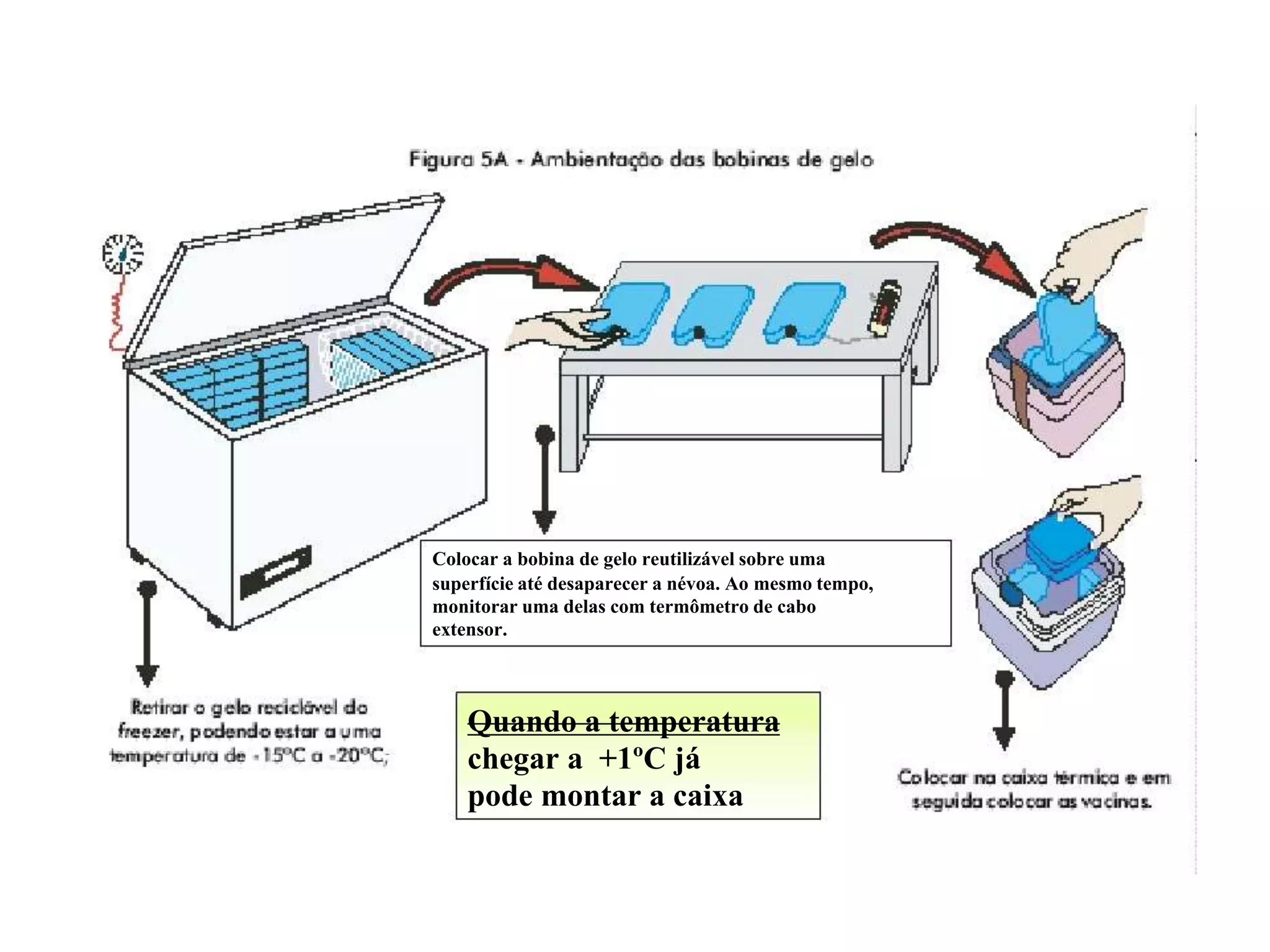 Aula rede de-frio atualizacao-em-imunizacao. (1) | PPTX