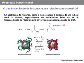 aula_regulacao_genica_eucarioto.ppt