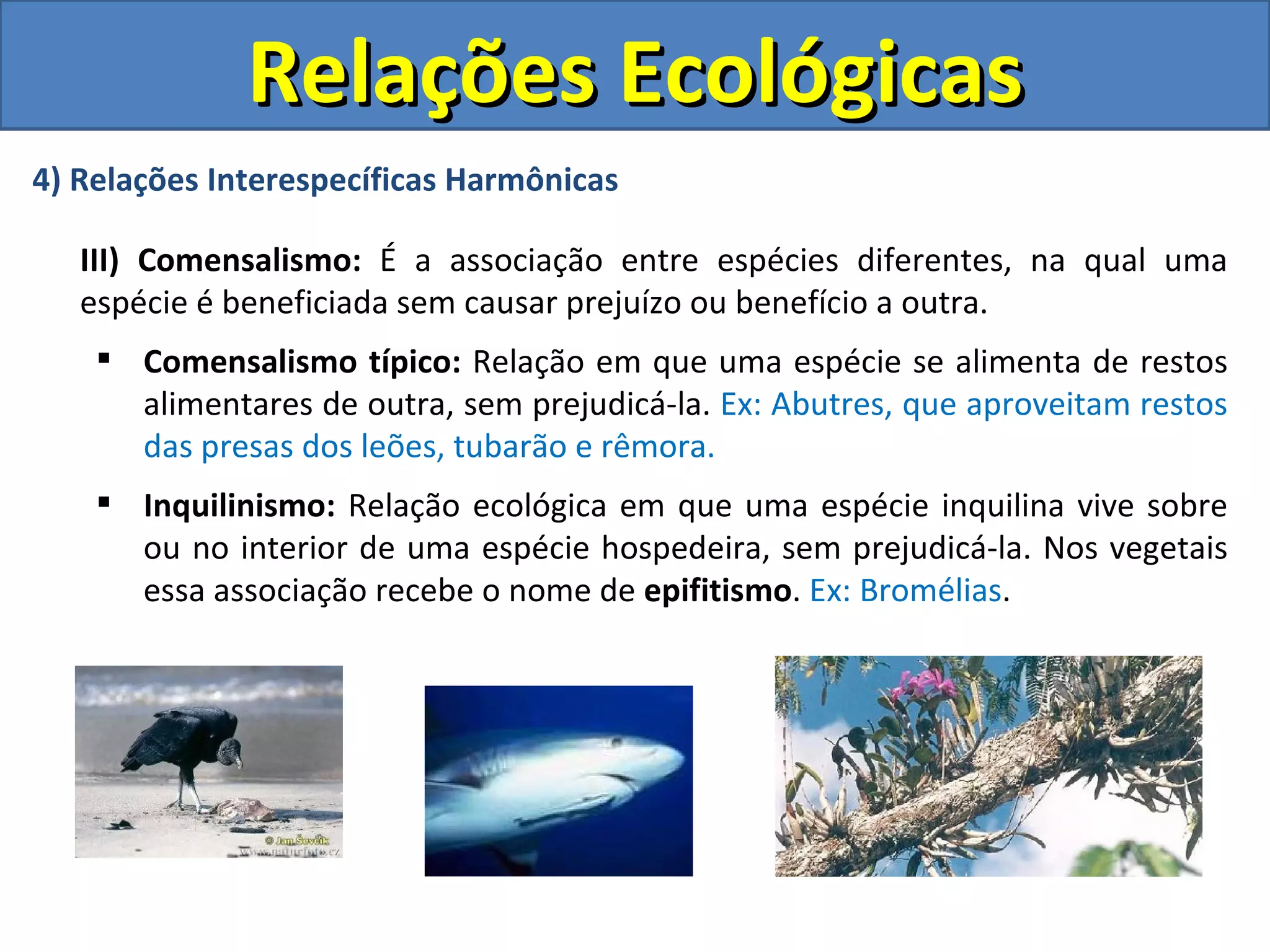 Aula relações ecológicas | PPT