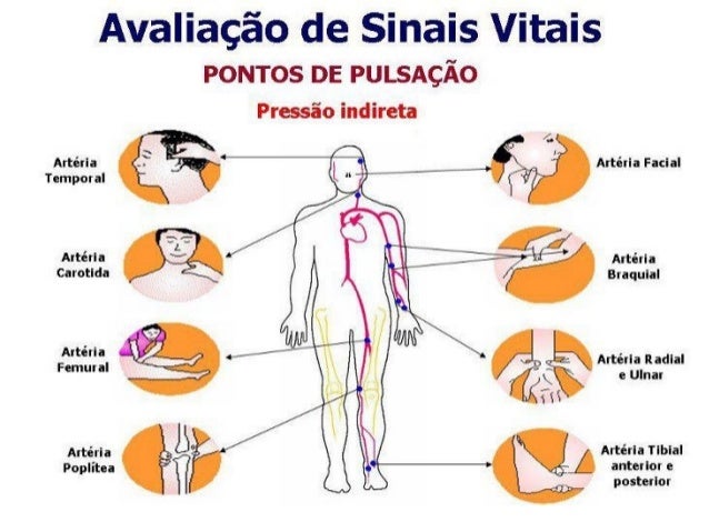 Aula sinais vitais