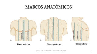 Aula Semiologia do Sistema Respiratorio UNINTA.pptx