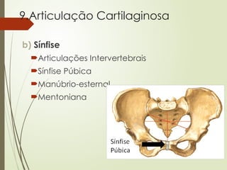 Aula Sistema Articular introdução e conceitos.pptx