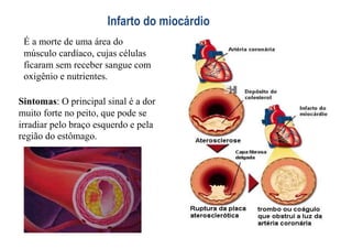Aula Sistema Cardiovascular.pdf