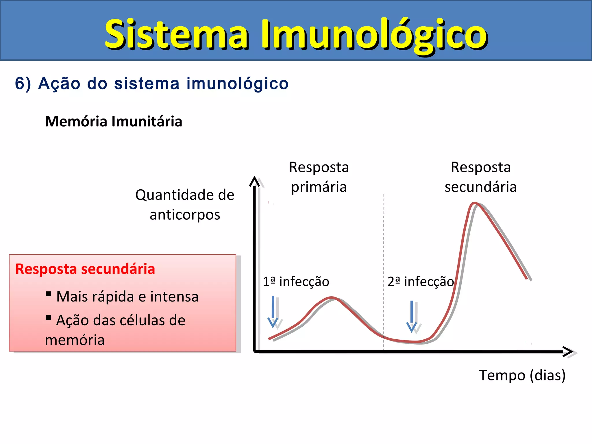 Aula sistema imunologico | PPS