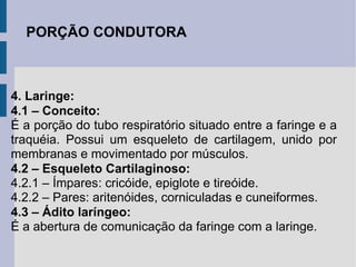 Aula sistema respiratório | PPT