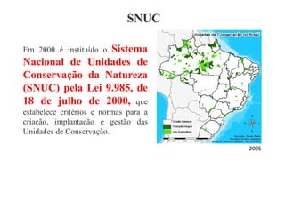 Aula SNUC - Introdução | PDF