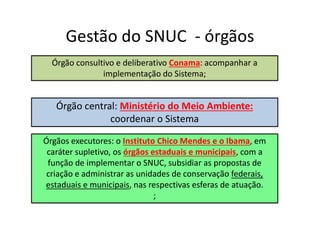 Aula SNUC - Introdução | PDF