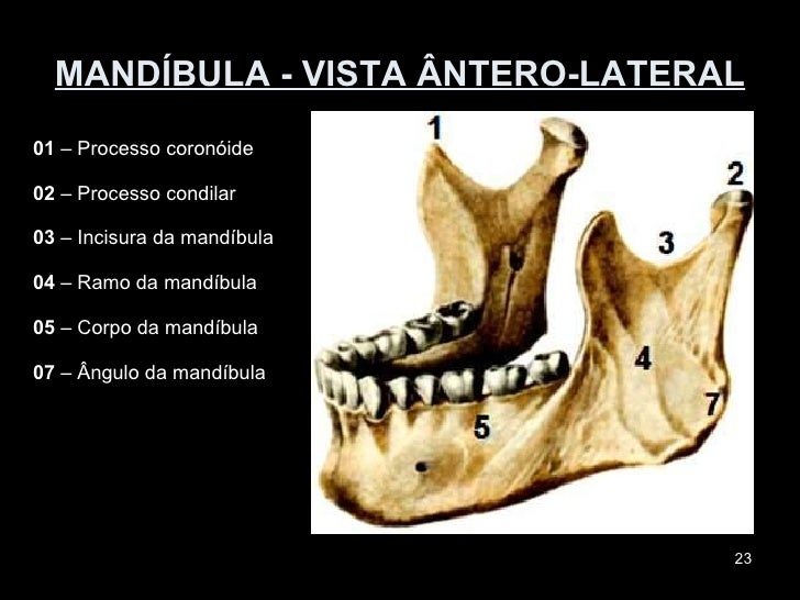 Aula sobre ATM e Mandíbula - raios X