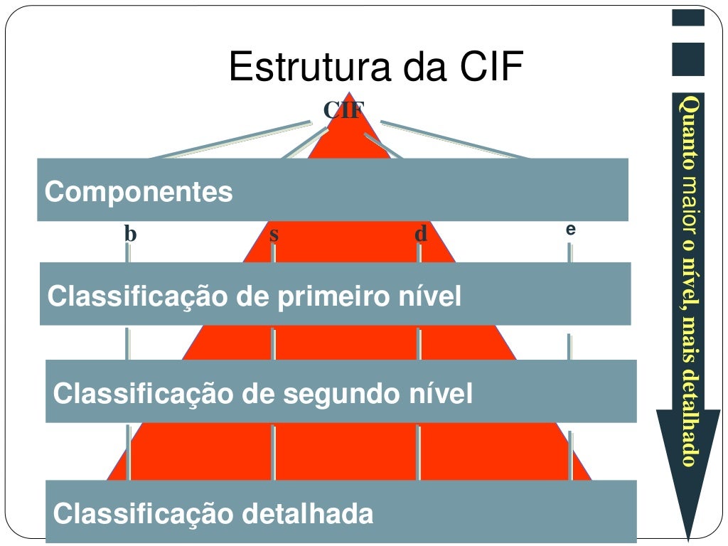 Estrutura dos Códigos e Qualificadores da CIF