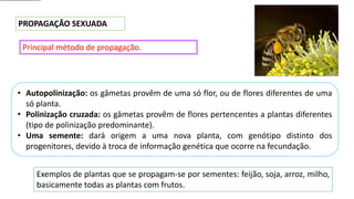 AULA1 propagação vegetal plantas TEMA 03.pptx