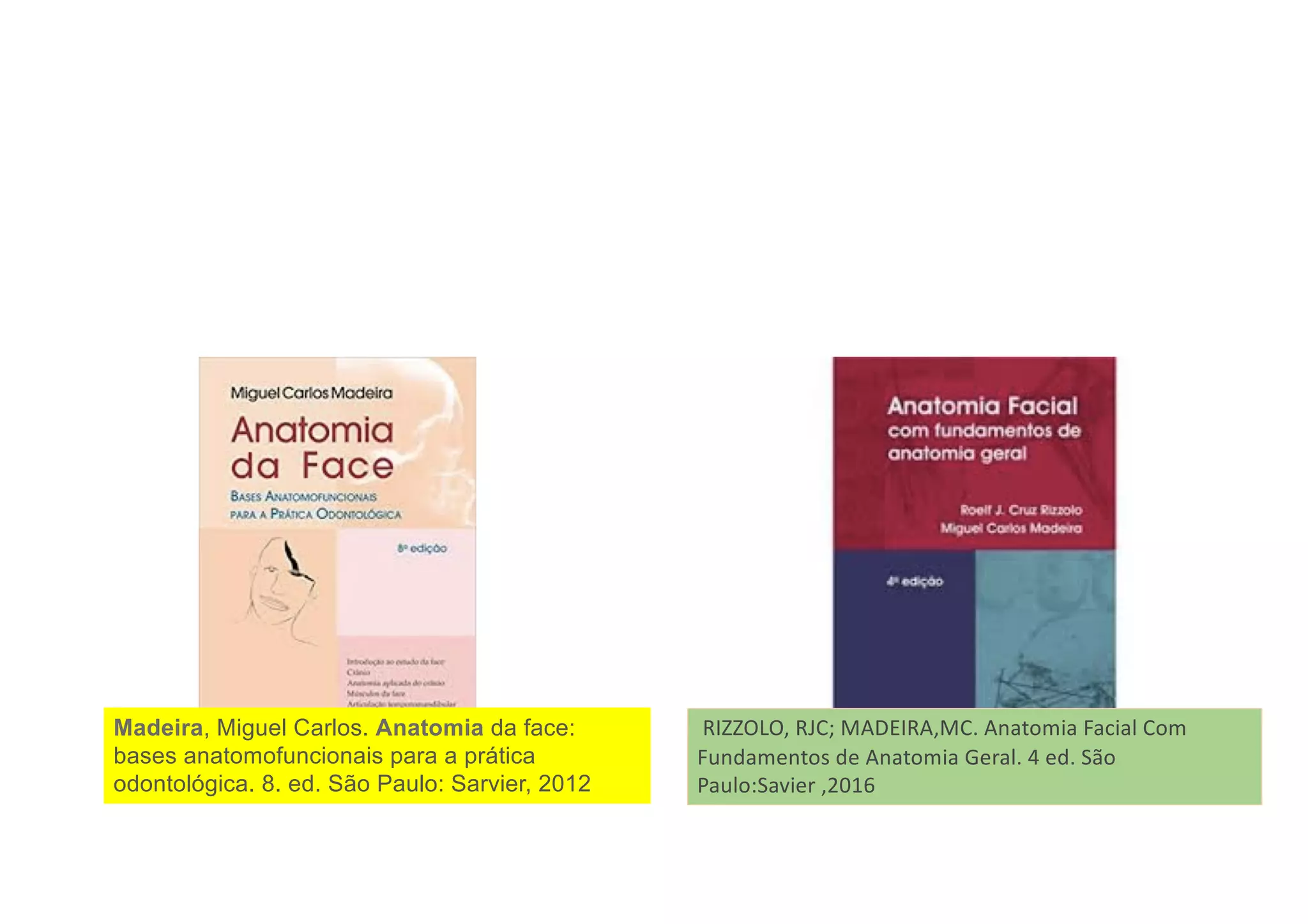 Aula teorica musculos da face parte 1 | PDF