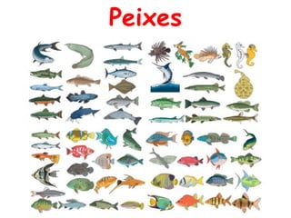 Aula vertebrados I - Peixes, anfíbios e répteis | PPT