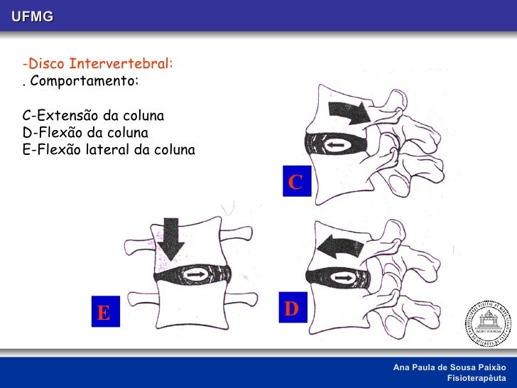 Aula vii. coluna vertebral. part.ii
