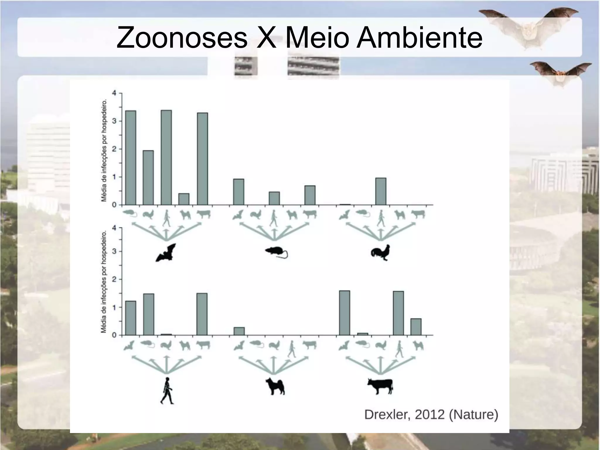 aulavirobasicazoonoses.pptx