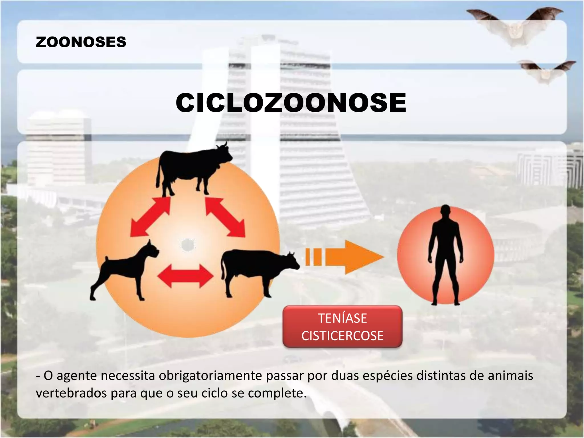 aulavirobasicazoonoses.pptx