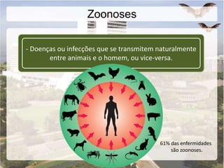 aulavirobasicazoonoses.pptx