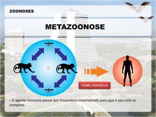 aulavirobasicazoonoses.pptx