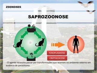 aulavirobasicazoonoses.pptx