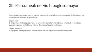 Aula V (pares craneales) | PPTX