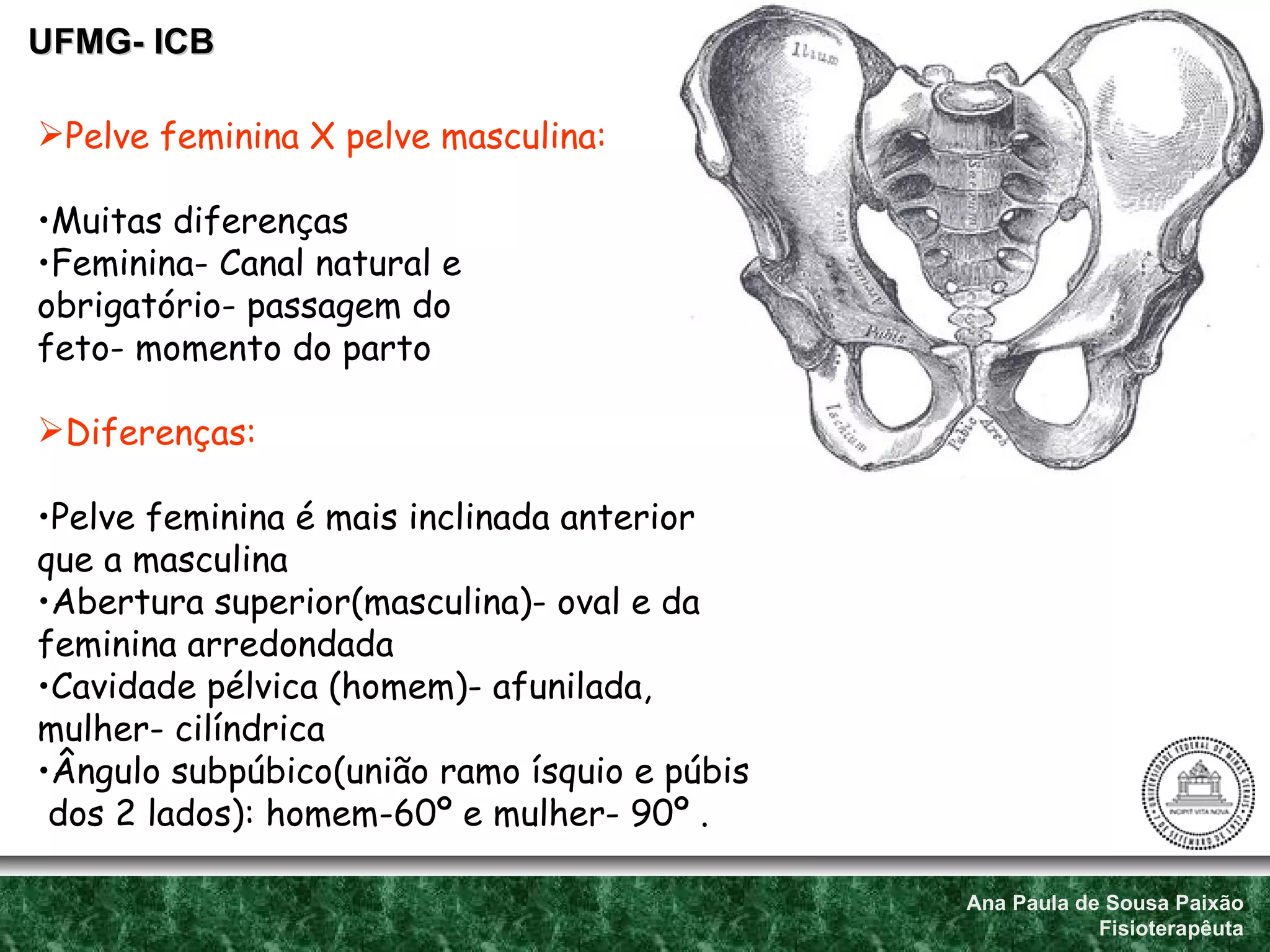 Aula x pelve e musculo do assoalho pelvico | PPT