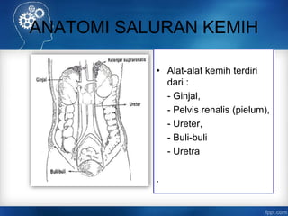 Aulia venny dt retensi urin dr. indra | PPTX