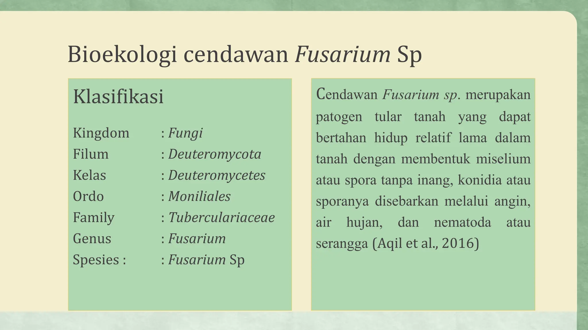 Aulia Dwi Septiani-214110213-Layu Fusarium.pptx
