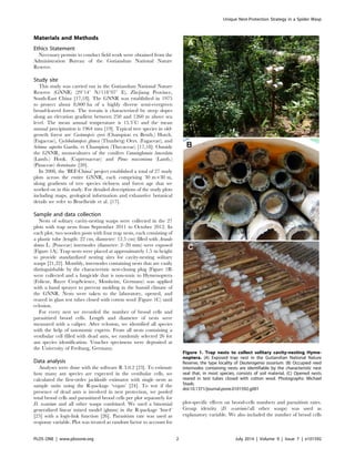 A unique nest protection strategy in a new species of spider wasp | PDF