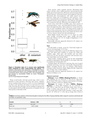 A unique nest protection strategy in a new species of spider wasp | PDF