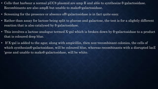 Transformation | PPTX