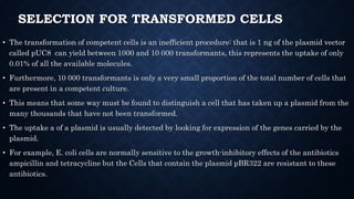 Transformation | PPTX