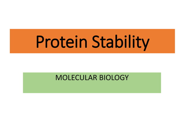 protein stability | PPTX