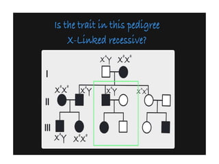 Ppt on genetics includes mendelian .pptx