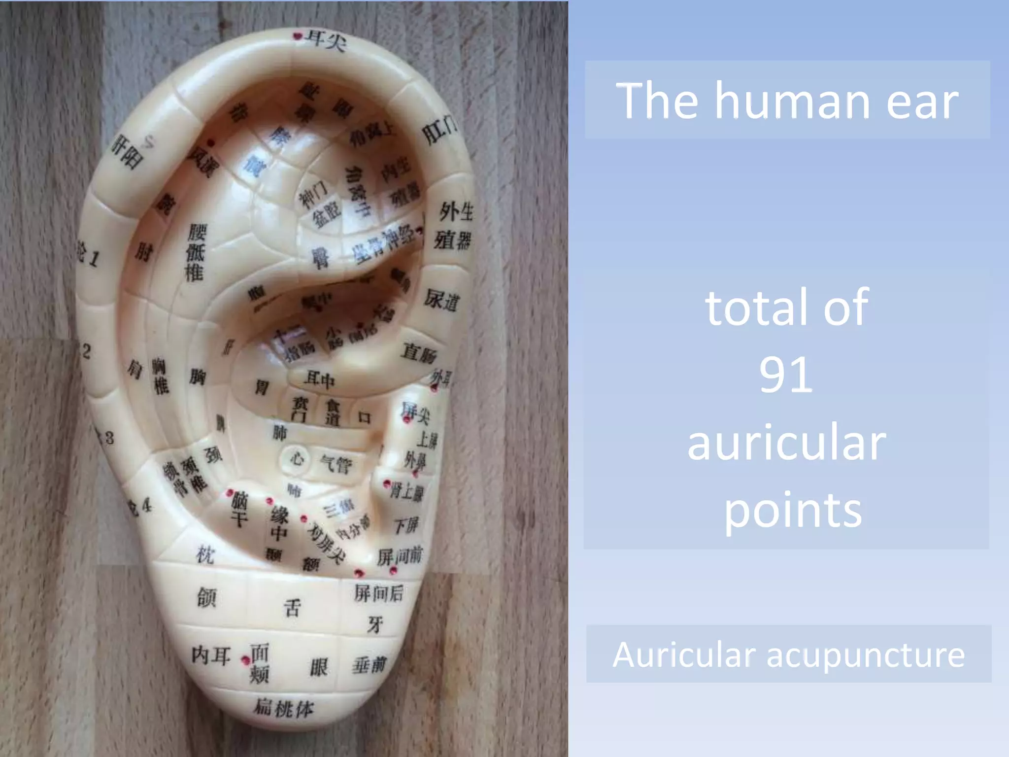 Auricular Acupuncture | PPTX