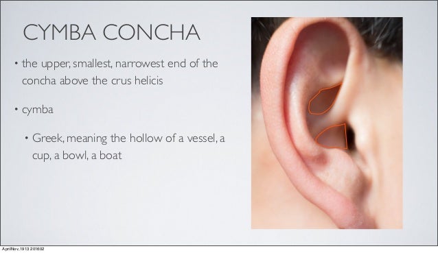 Auricular acupuncture introduction - the anatomical landmarks of the