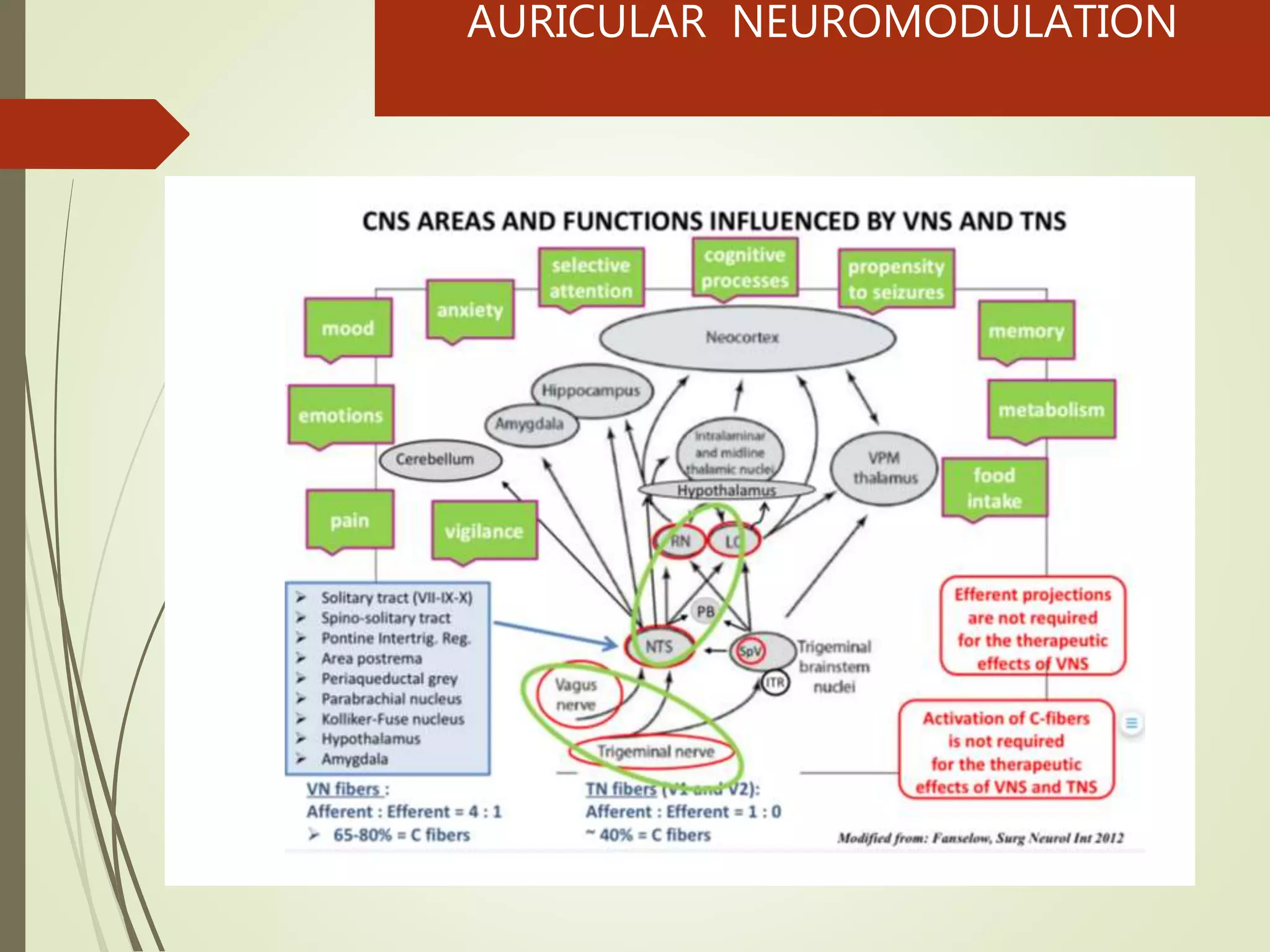 Auricular neuromodulation for health | PPTX