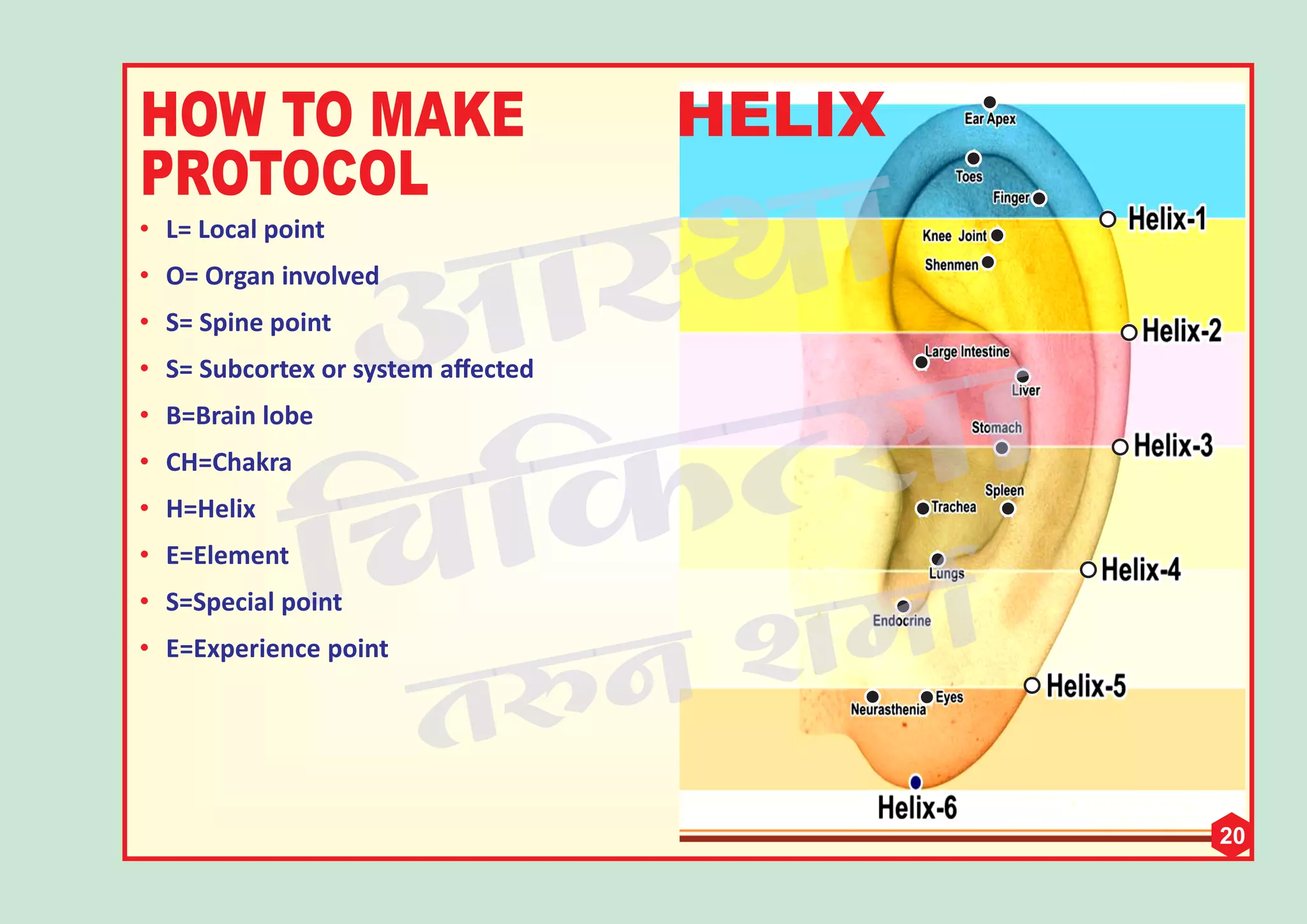 Auricular Therapy-1.pdf
