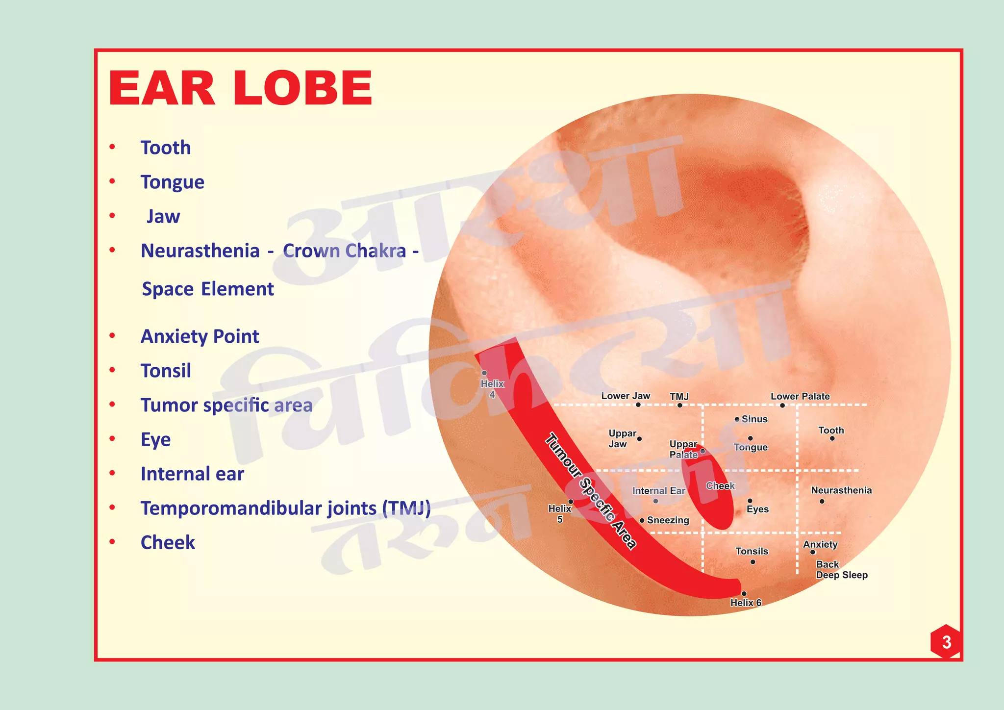 Auricular Therapy-1.pdf