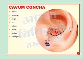 Auricular Therapy-1.pdf