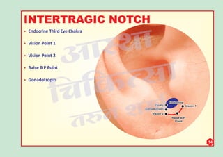 Auricular Therapy-1.pdf
