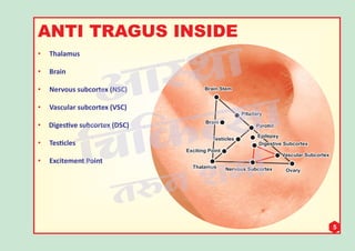Auricular Therapy-1.pdf