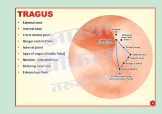 Auricular Therapy-1.pdf
