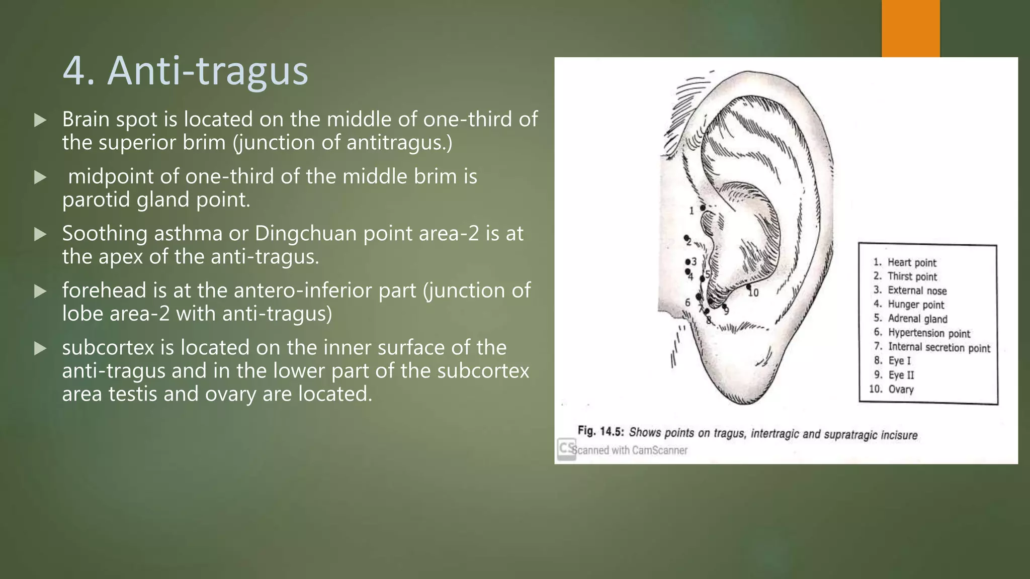 Auriculotherapy | PPTX