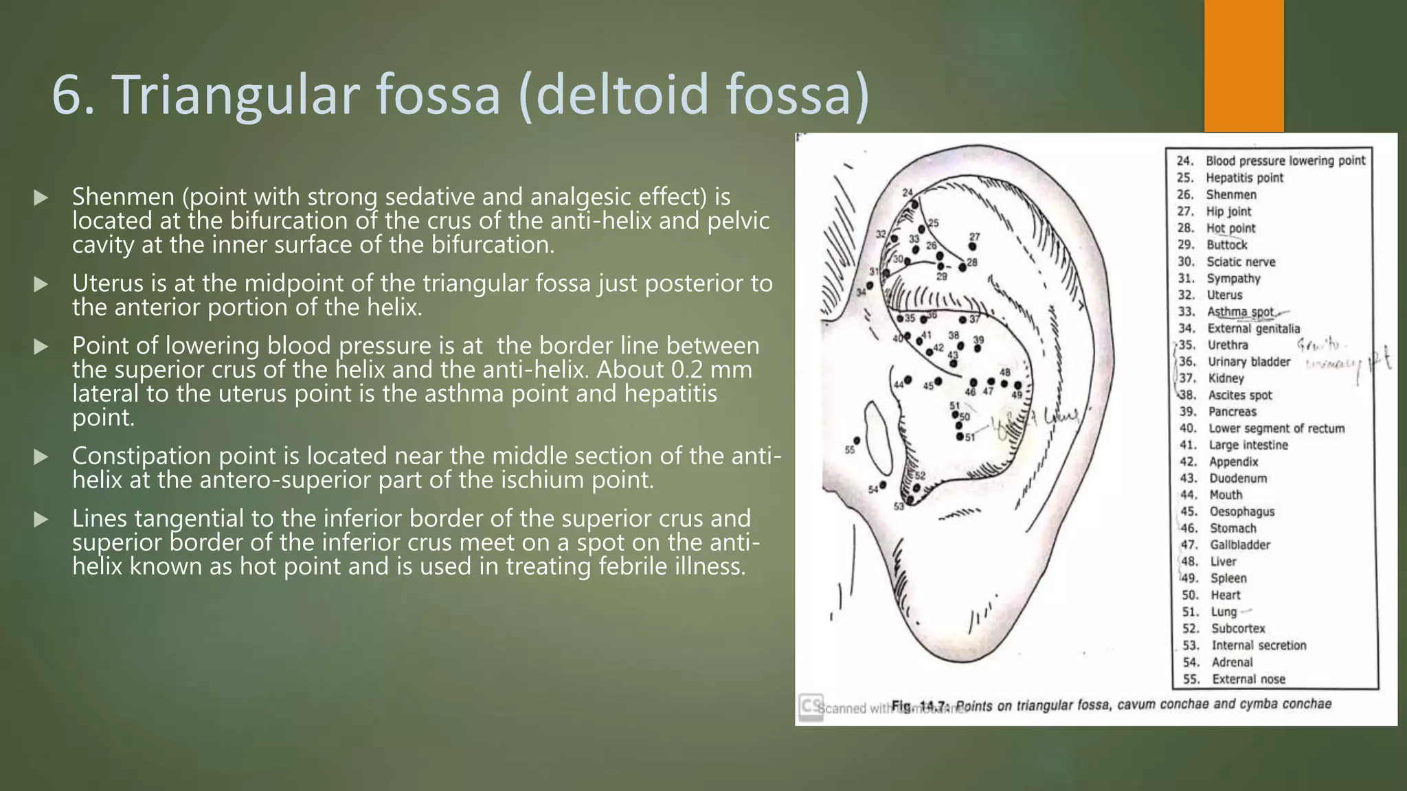 Auriculotherapy | PPTX