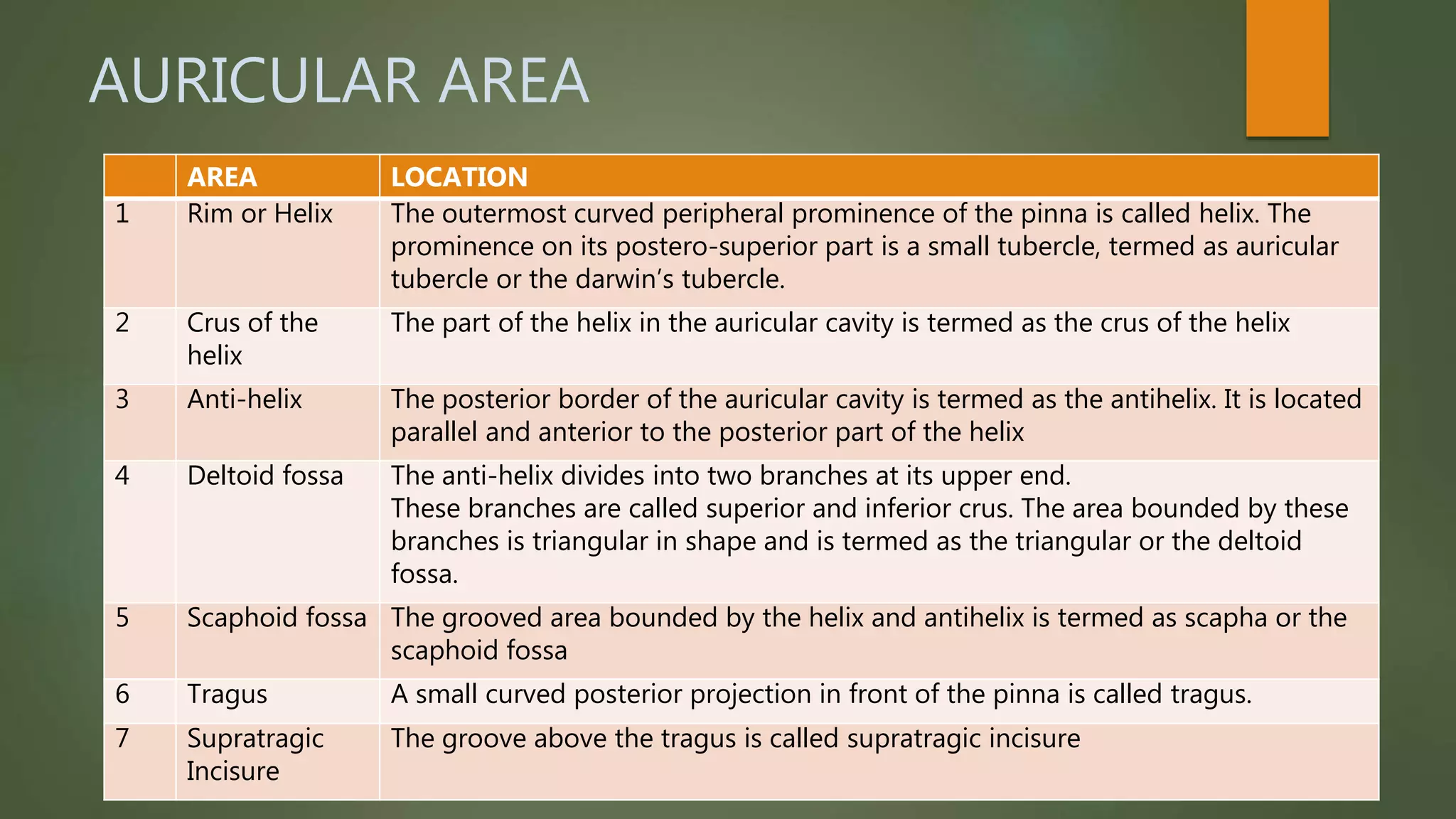Auriculotherapy | PPTX
