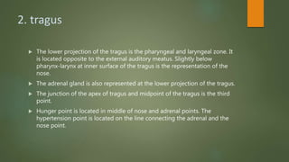 Auriculotherapy | PPTX | Ear, Nose and Throat Conditions | Diseases and ...