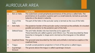 Auriculotherapy | PPTX