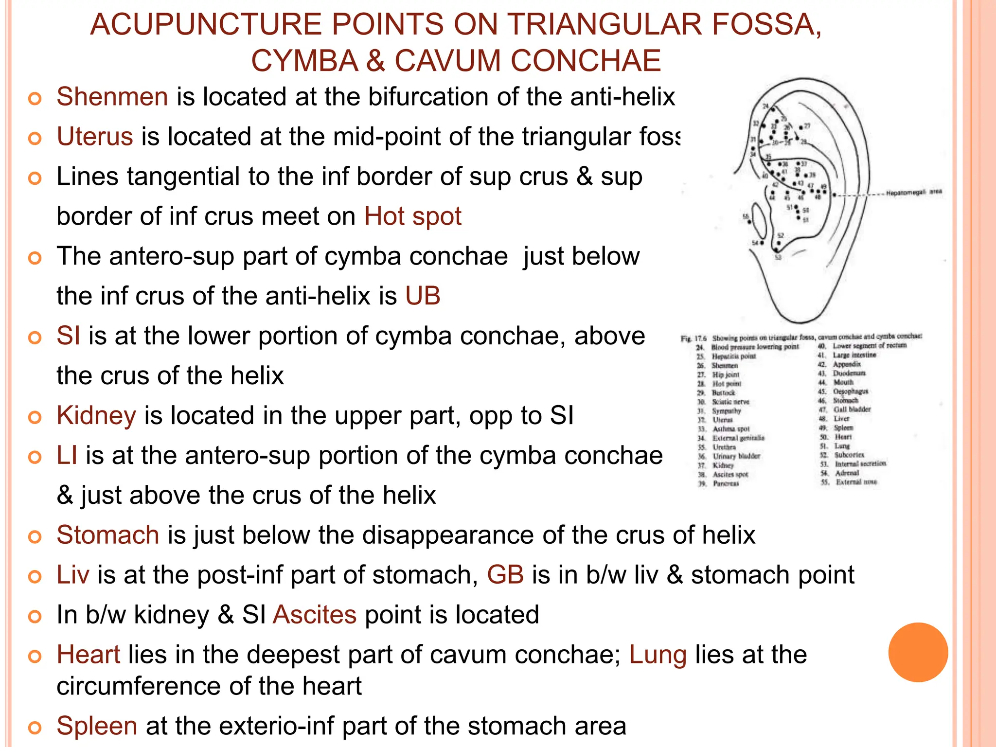 aucupuncture Auriculotherapy.ppt