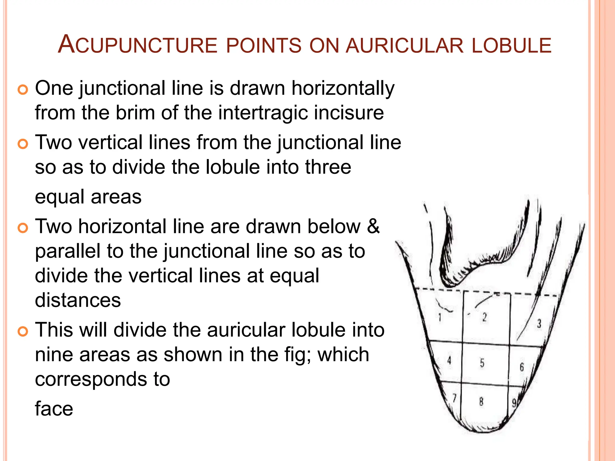 aucupuncture Auriculotherapy.ppt
