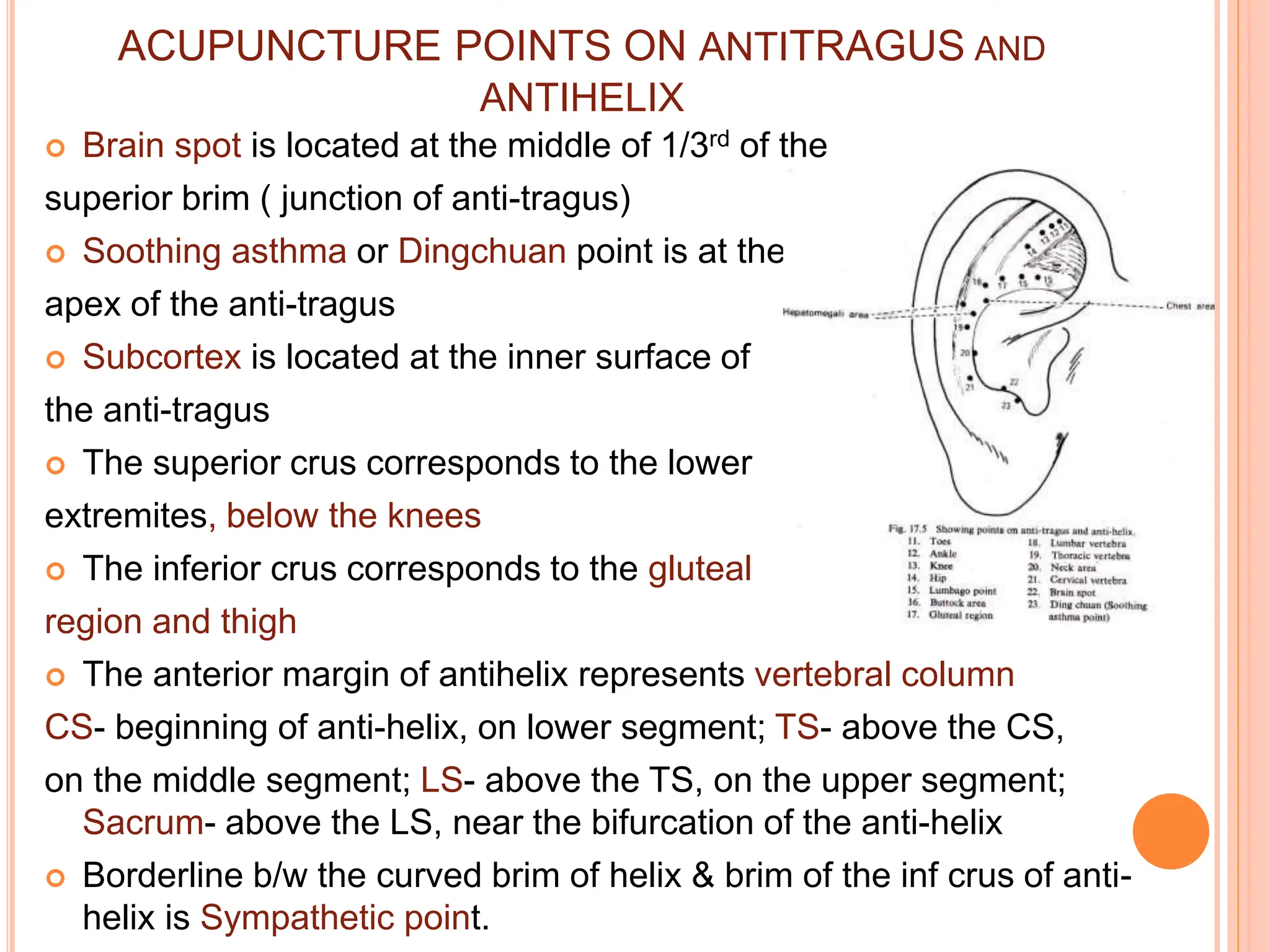aucupuncture Auriculotherapy.ppt